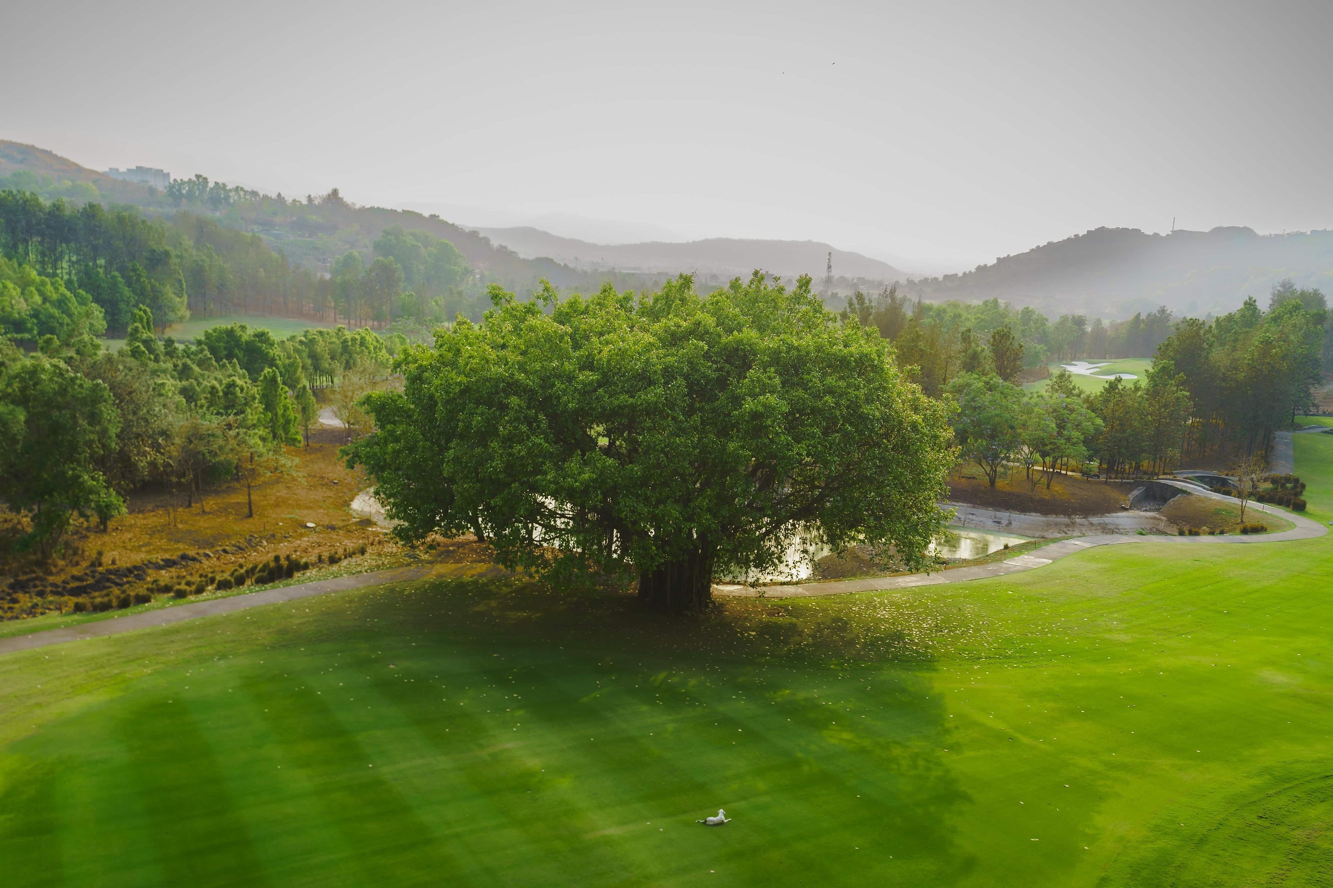 PUNE- OXFORD GOLF RESORT
