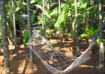 SAVLI RESORT SHRIVARDHAN