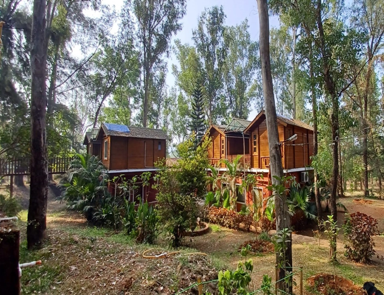 THE JUNGLE RESORT AMBA|KOLHAPUR Hotel, Room, Amenities, Photos and ...